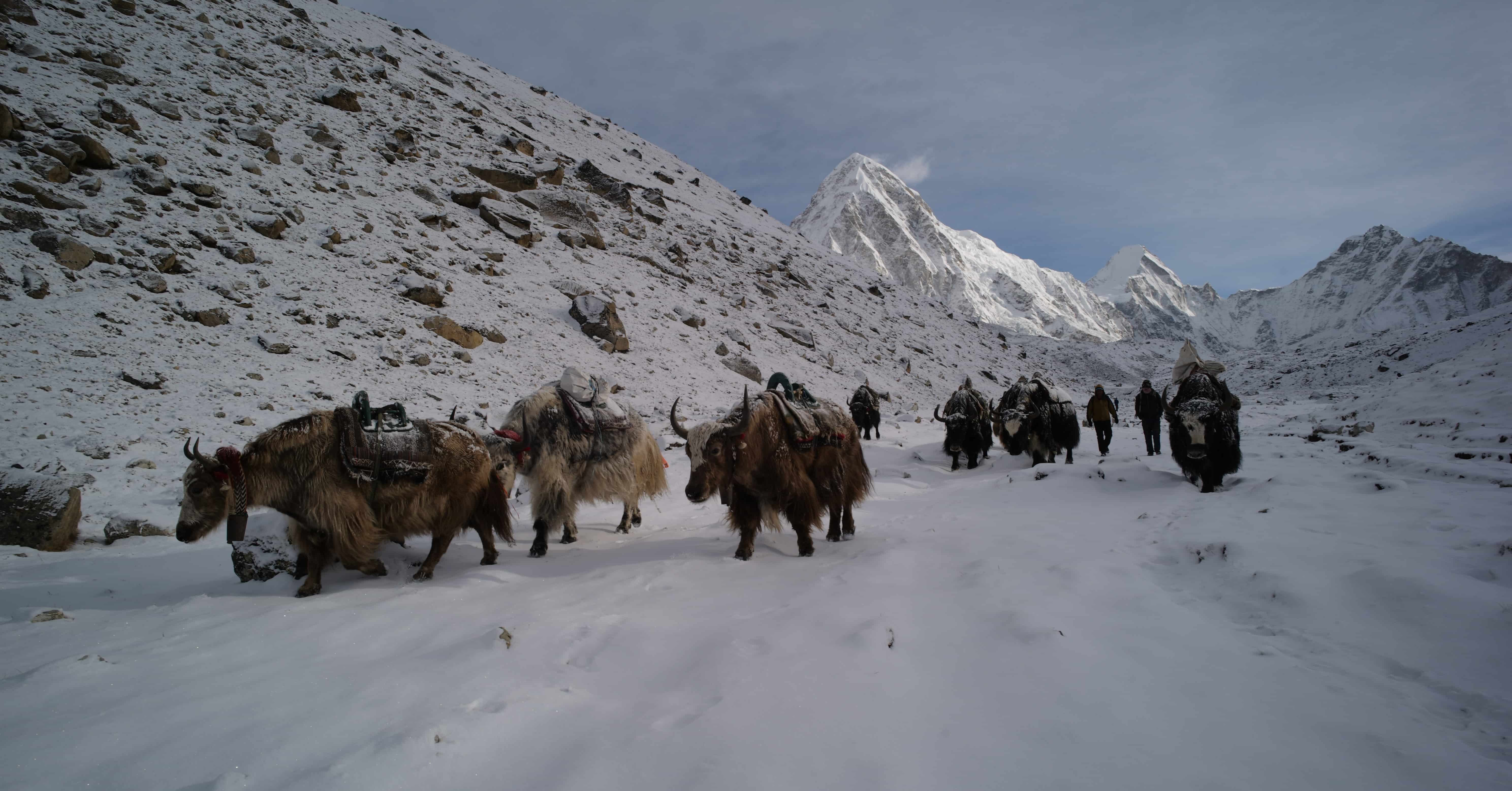 Ultimate Guide to the Everest Base Camp Trek in 2023 | Northern ...